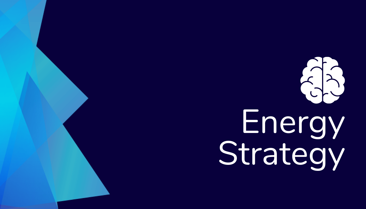Energy Strategy Services: Bespoke Solutions for Efficiency